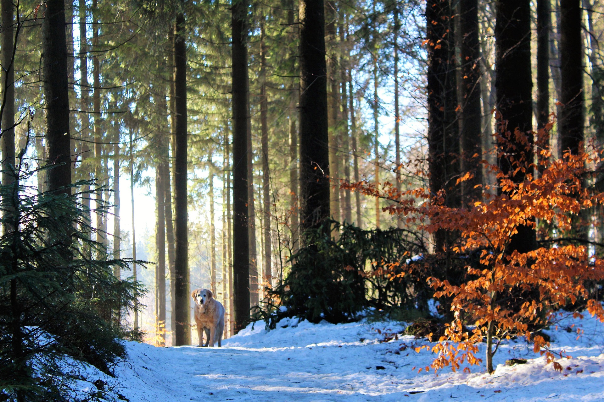 Seasonal Property Maintenance: Your Spring, Summer, Fall, and Winter ...